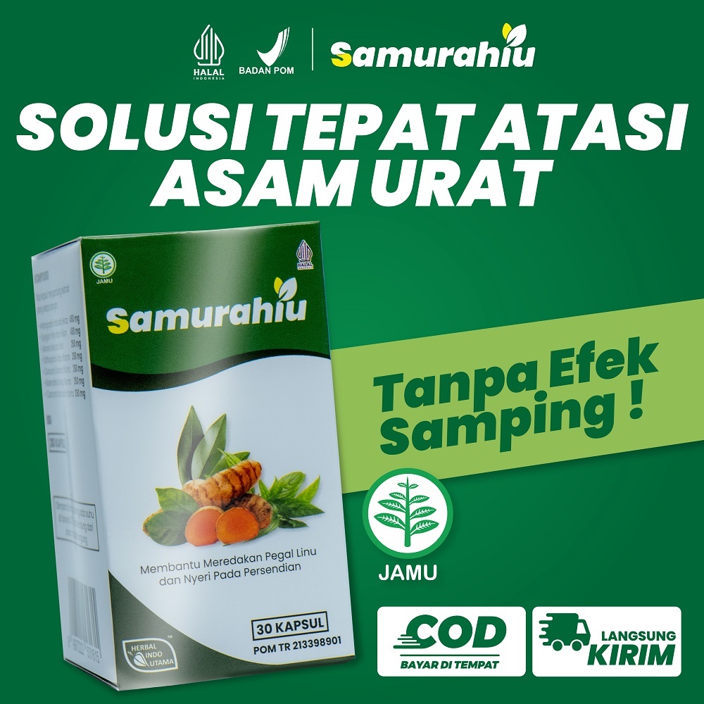 Jual Samurahiu 30 kapsul - Obat Herbal Asam Urat, Pegal Linu dan Nyeri ...