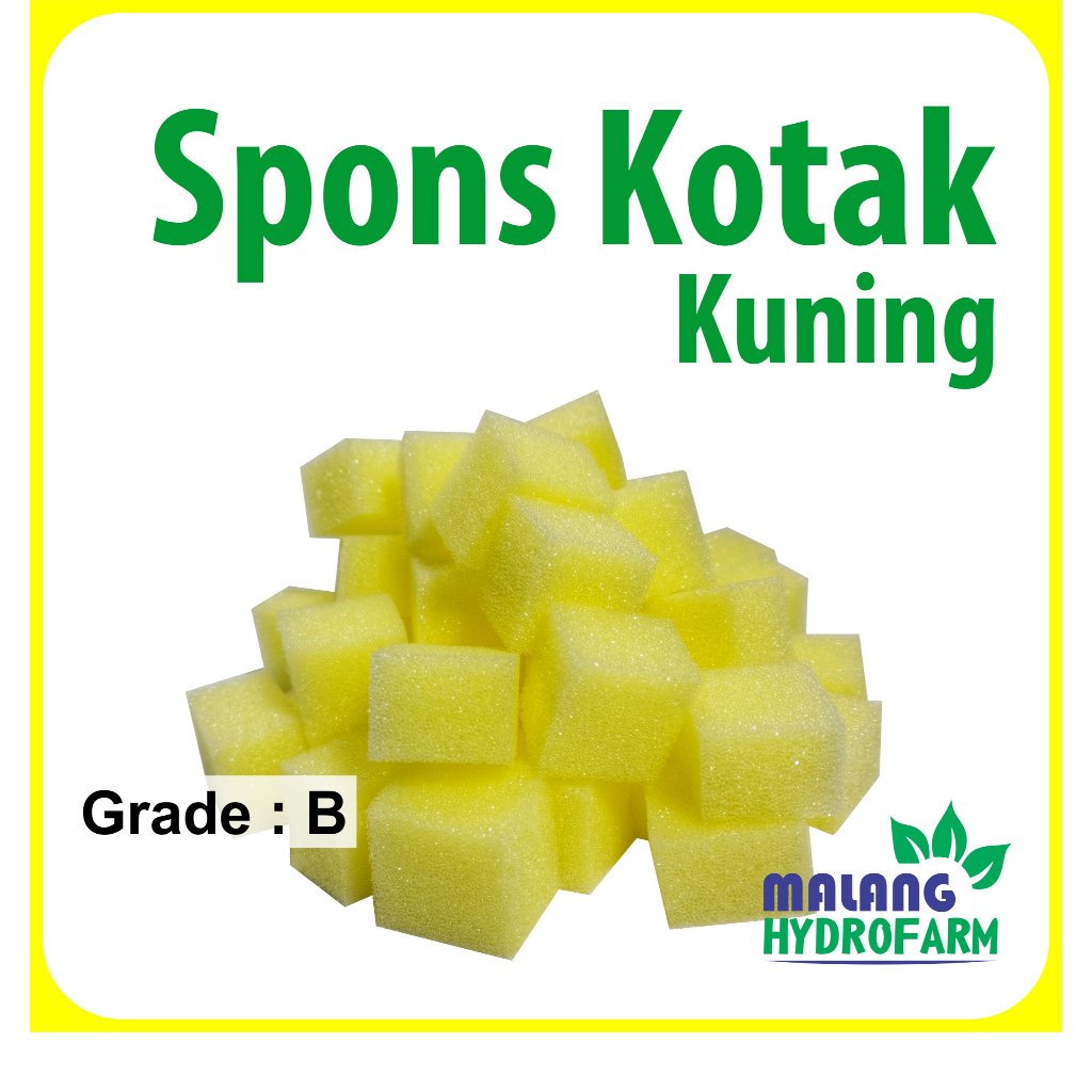 Jual Media Tanam Spons Kotak Kuning 2,5 x 2,5 x 1,8 cm persegi Grade B ...