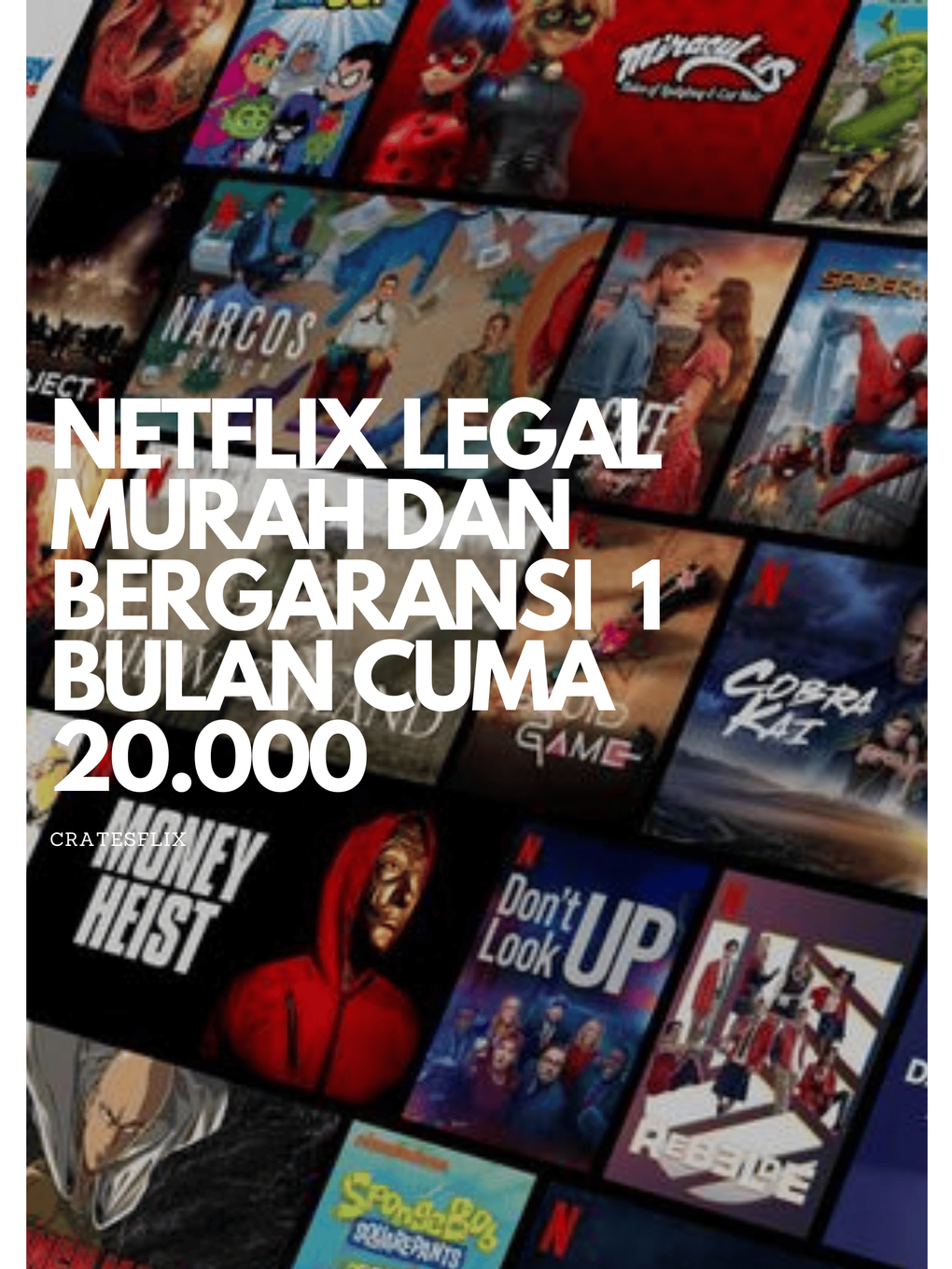 Jual NETFLIX SHARING 1 BULAN | Shopee Indonesia