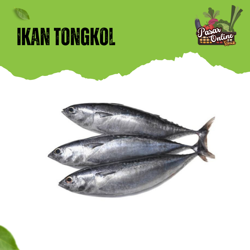 Jual IKAN TONGKOL FRESH - 1KG | Shopee Indonesia