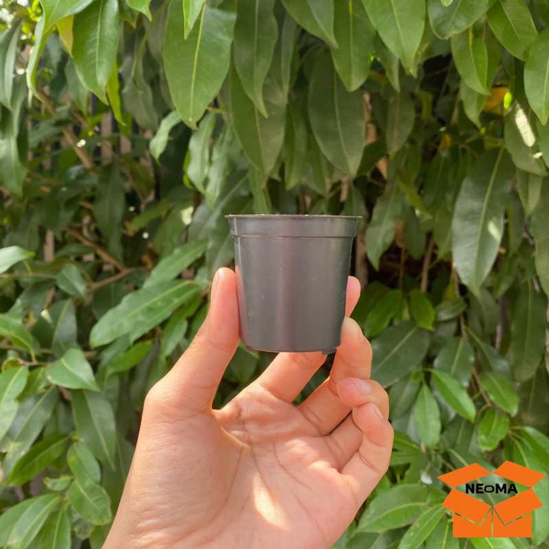 Jual Pot Bunga Pot Bibit 5 cm Pot Tanaman Hias Sukulen Pot Souvenir ...