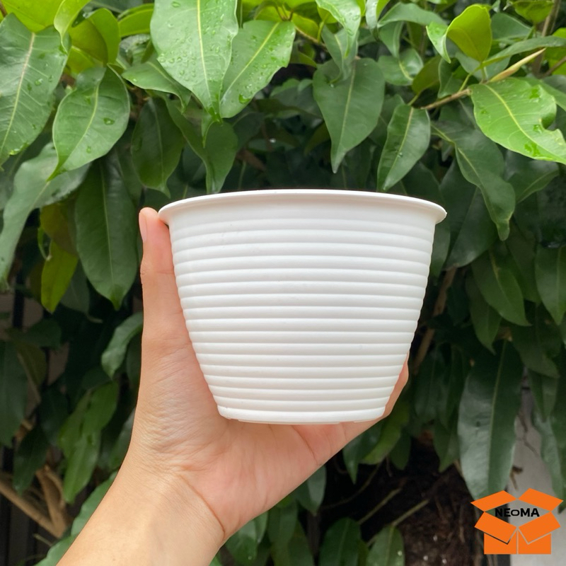 Jual [TERMURAH] Pot Tanaman - Pot Hias - Pot Tawon Putih - Pot Bunga ...