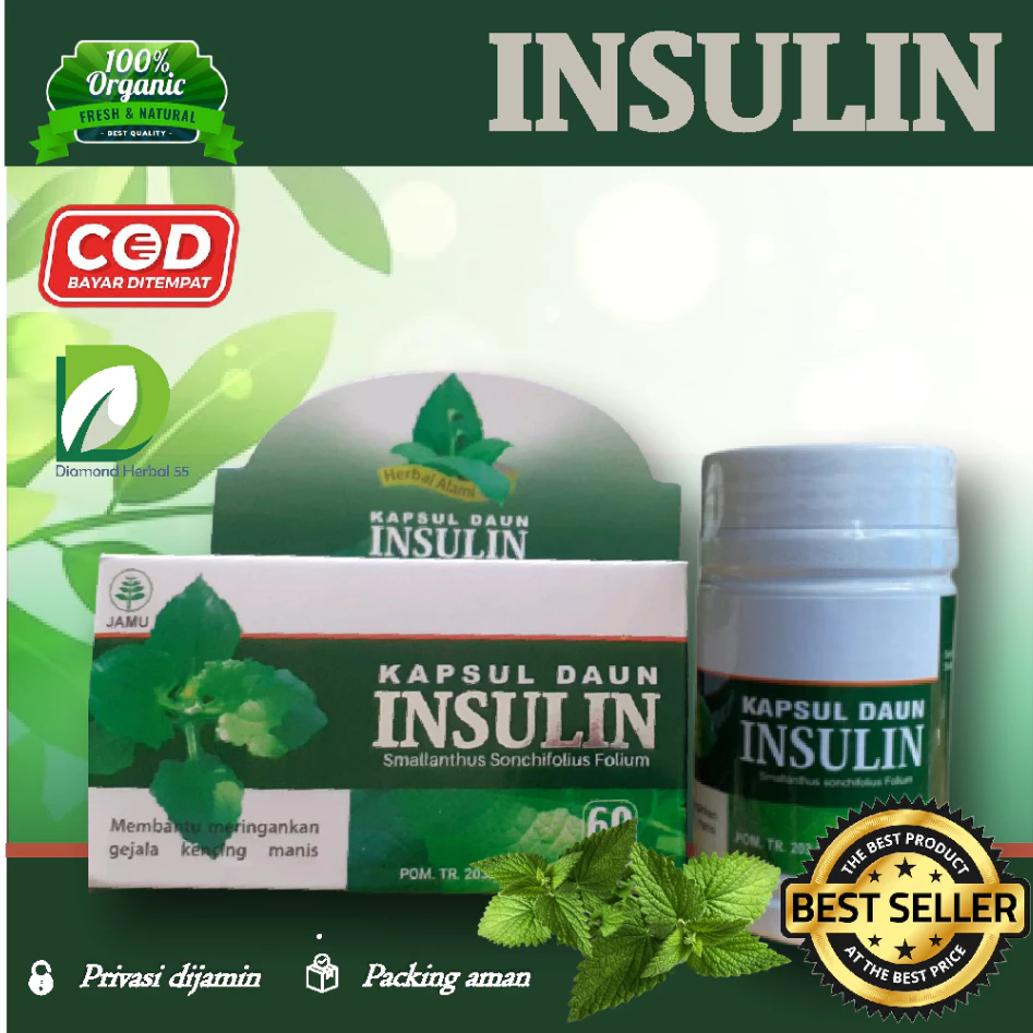 Jual Kapsul Daun Insulin (100% Original Produk ), Diabetesa, Darah ...