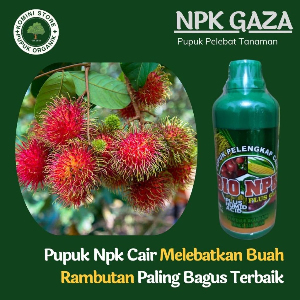 Jual NPK GAZA 500ML Pupuk rambutan berbuah besar dan manis - Obat pelebat buah rambutan paling ...