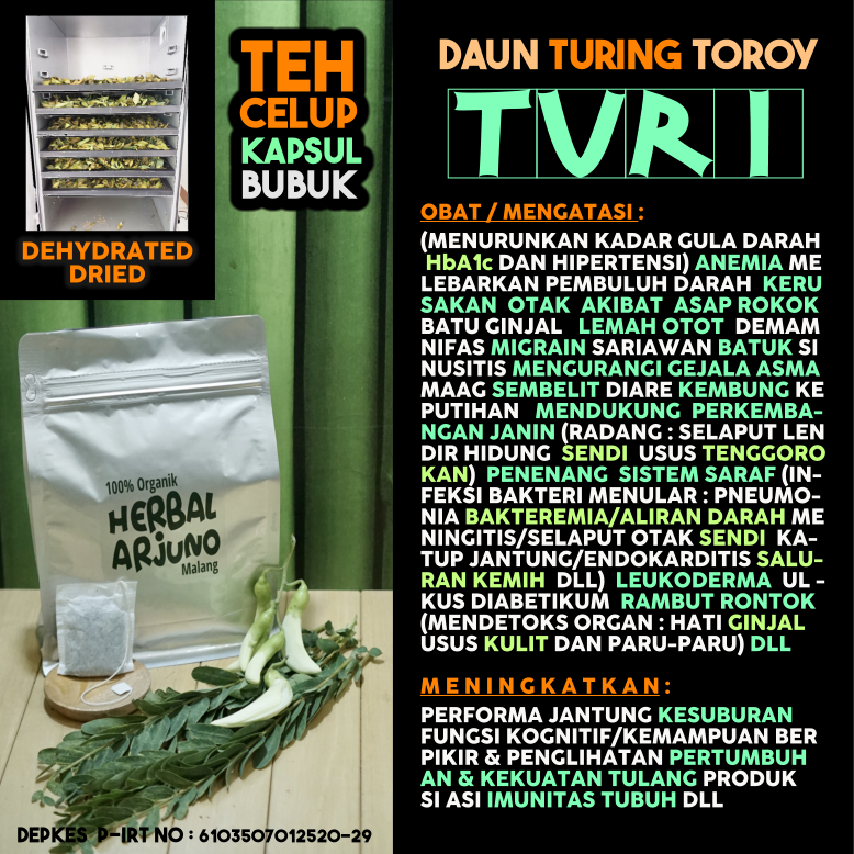 Jual Dehydrated Dried Teh Celup Kapsul Bubuk Daun Turi Obat Infeksi ...