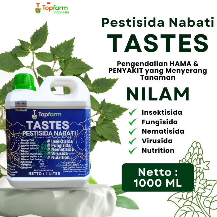 Jual Obat Hama Untuk Tanaman Nilam / Obat Penyakit Nilam / Obat Daun ...