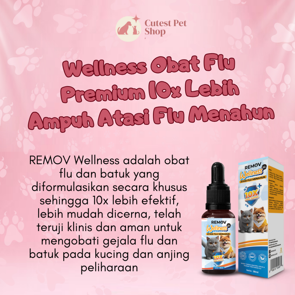 Jual Obat Flu dan Batuk Pilek Untuk Kucing Paling Ampuh Juga Mengatasi ...