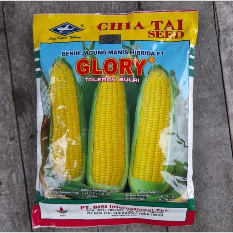 Jual Benih Jagung Manis Glory 250 gram Cap Kapal Terbang Benih Jagung Glory | Shopee Indonesia