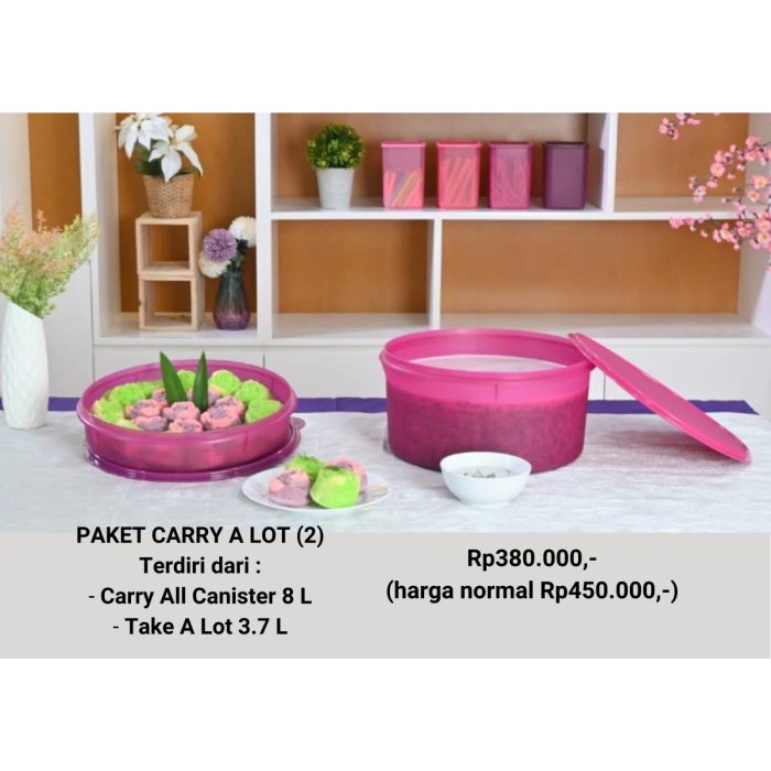 Jual Tupperware Carry A Lot /Carry All Canister Toples Bulat Jumbo ...