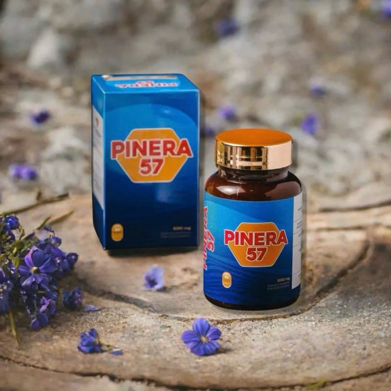 Jual Pinera57 100% ORIGINAL 1 Box OBAT DIABETES STOKE KOLESTEROL ...