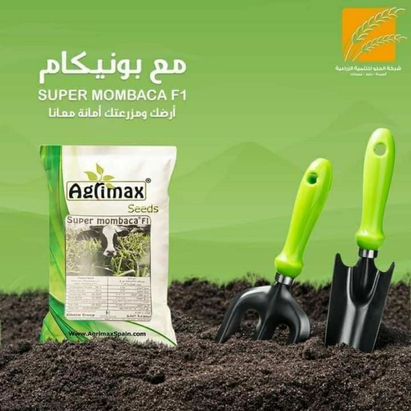 Jual Benih Rumput Mombaca F1 AGRIMAX Spain Kemasan Asli | Shopee Indonesia