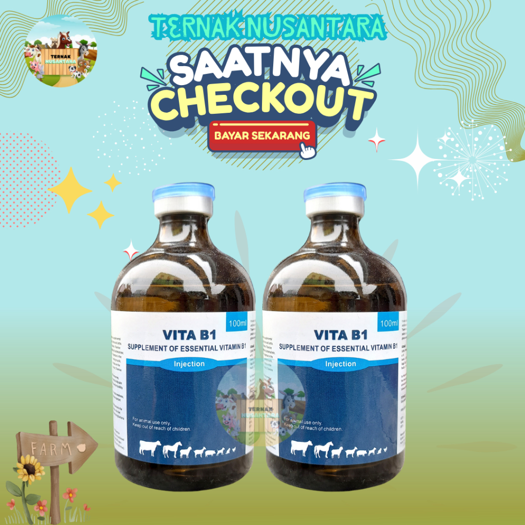 Jual VITA B1 100 ML BY HEIBEI - Sebagai Tambahan Suplemen Vitamin B1 ...