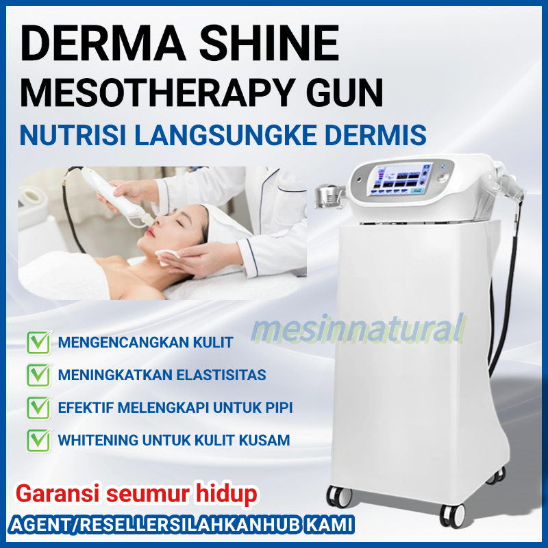 Jual Multi needle meso injector gun 9pin Korea Derma Shine Needle ...