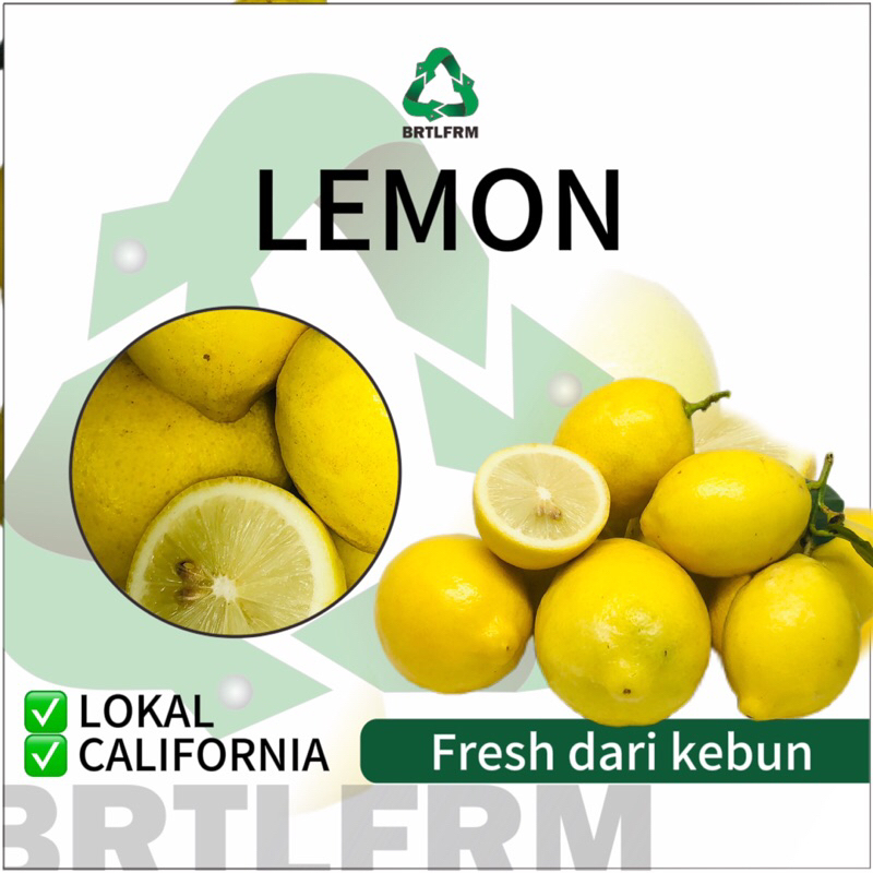 Jual LEMON CALIFORNIA DAN LOKAL (AUSTRALI) PER BIJI | Shopee Indonesia