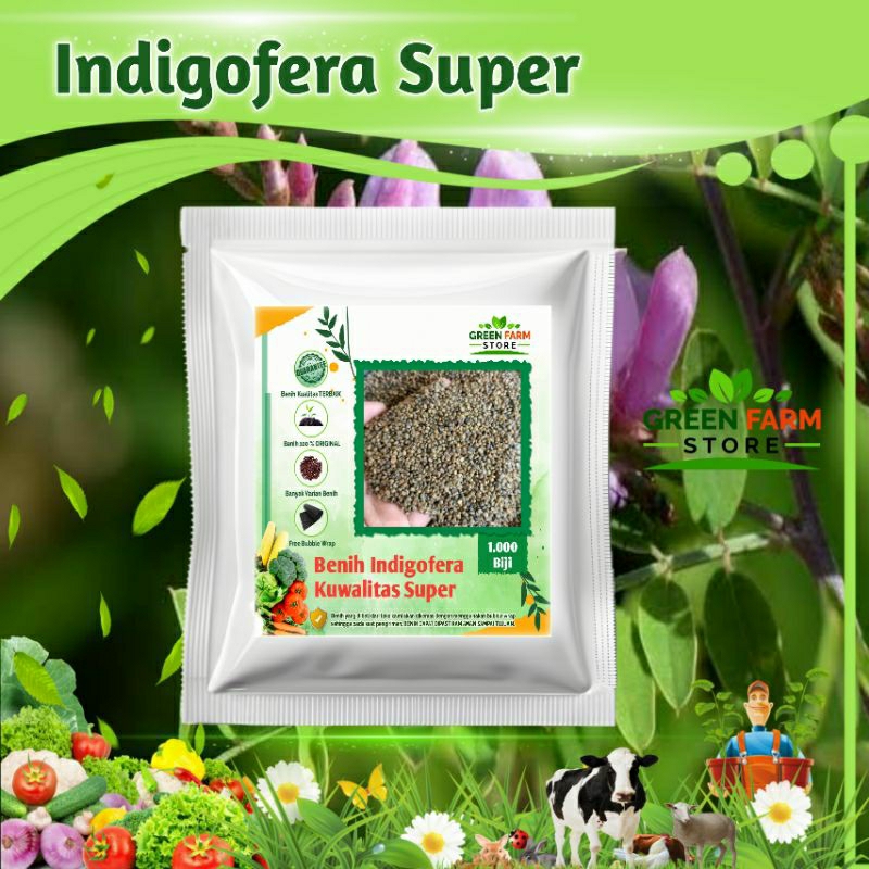 Jual Benih Indigofera Pakan Ternak Kualitas Super (1000 biji) | Shopee ...