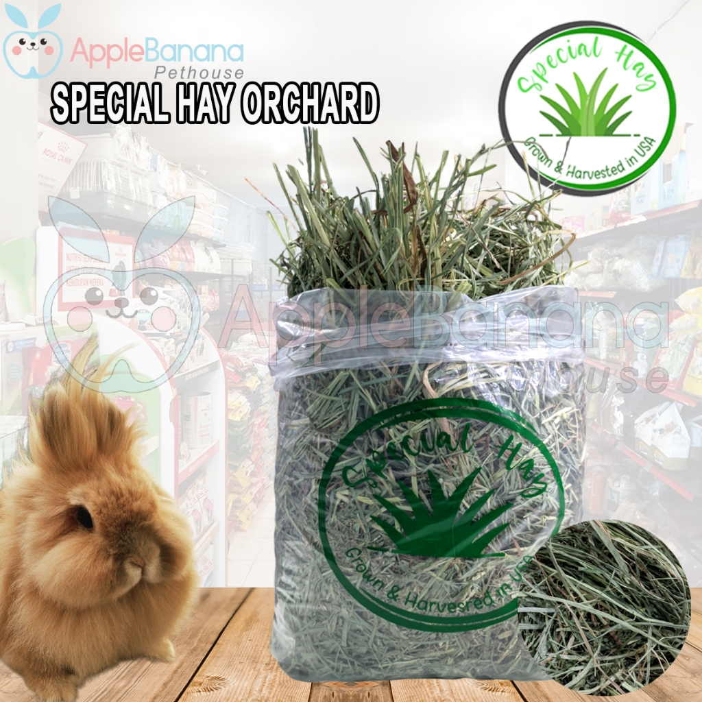 Jual Special Hay Orchard 1 kg | Rumput Hay Makanan kelinci marmut ...