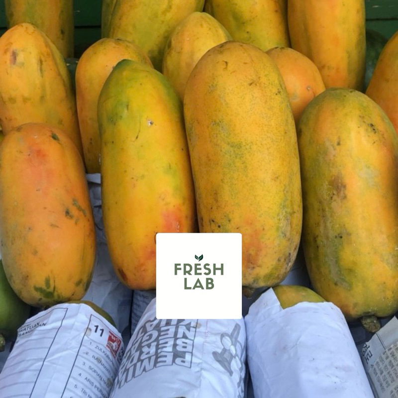 Jual Pepaya manis SUPER murah (1 buah) | Shopee Indonesia