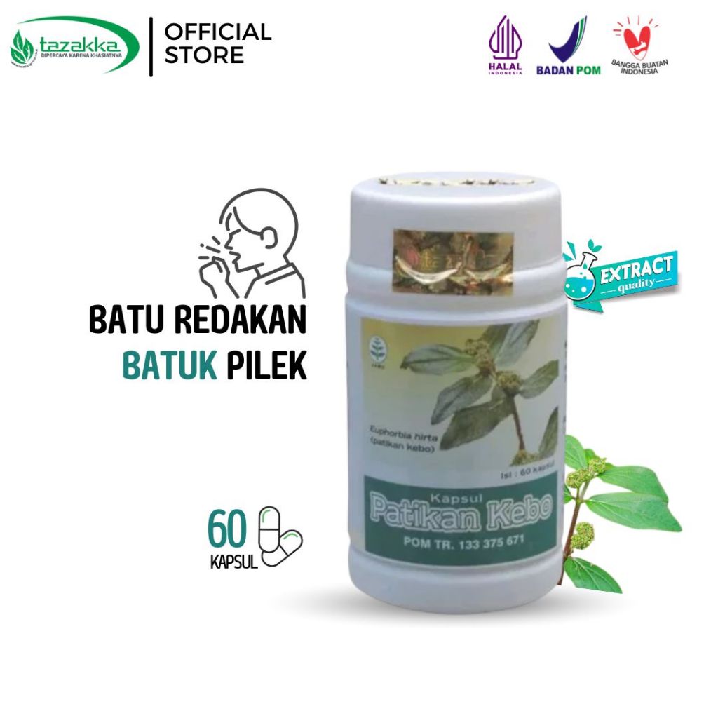 Jual TAZAKKA Daun Patikan Kebo Ekstrak Herbal Original Obat Batuk ...