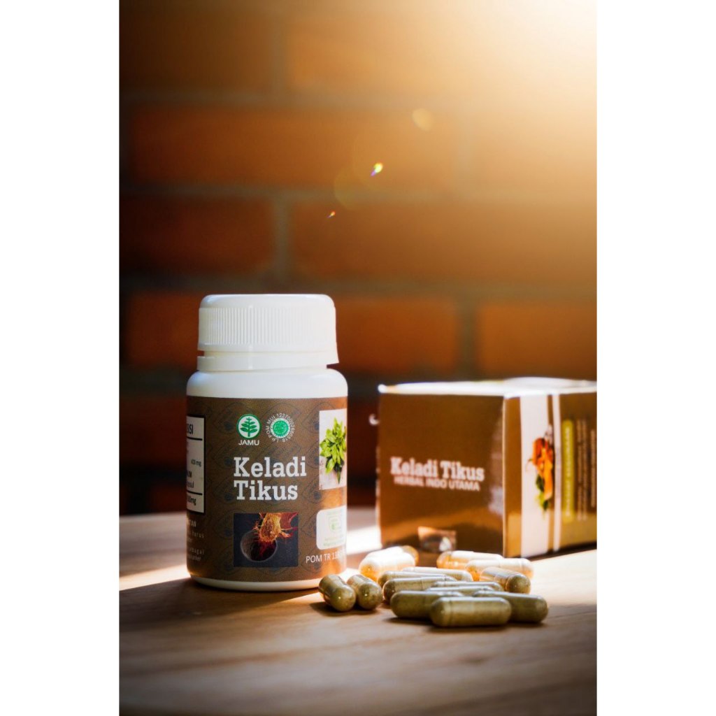 Jual HIU Keladi Tikus 60 Kapsul Obat Kanker Tumor Benjolan Payudara ...