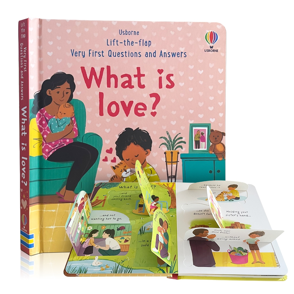 Jual Buku impor Board book lift the flap very first questions and ...