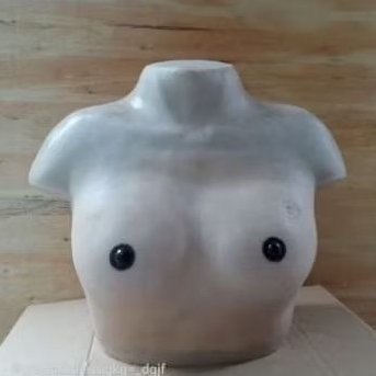 Jual PHANTOM PAYUDARA MENYUSUI/MANIKIN PERAWATAN PAYUDARA IBU MENYUSUI ...