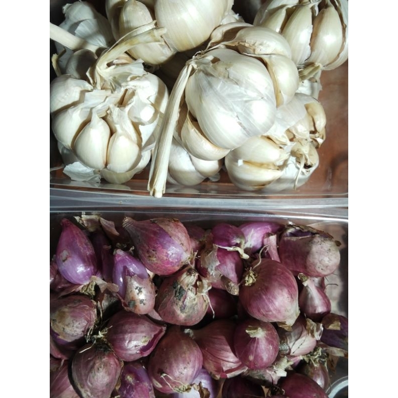 Jual BAMER NGANJUK +BAPUT SINCO CAMPUR 500 GR(250 GR+250GR) | Shopee Indonesia