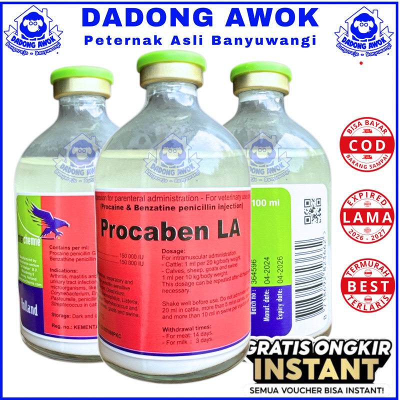 Jual Procaben LA 100 ml Penstrep 400 Obat Antibiotik Kucing Kambing ...