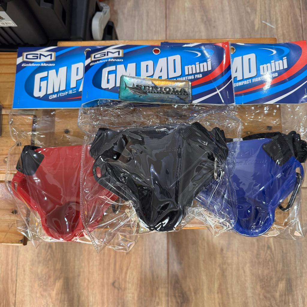 Jual GM PAD MINI - COMPACT FIGHTING PAD | Shopee Indonesia