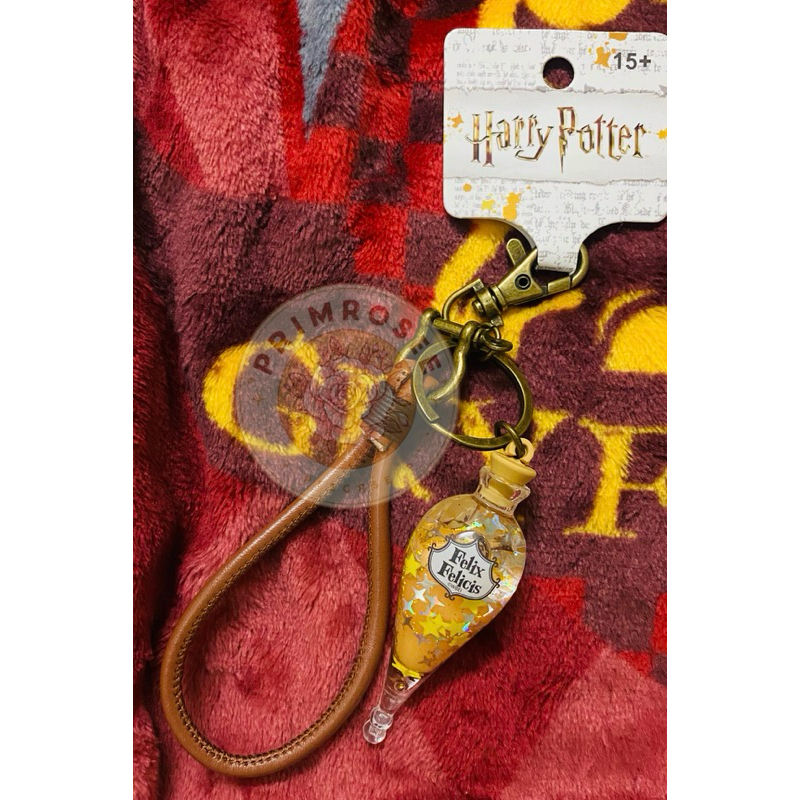 Jual [SG] Harry Potter x Miniso singapore x HARRY POTTER Gryffindor Slytherin Ravenclaw ...