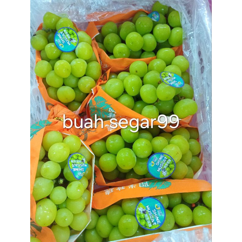 Jual anggur hijau muscat 500 gram | Shopee Indonesia