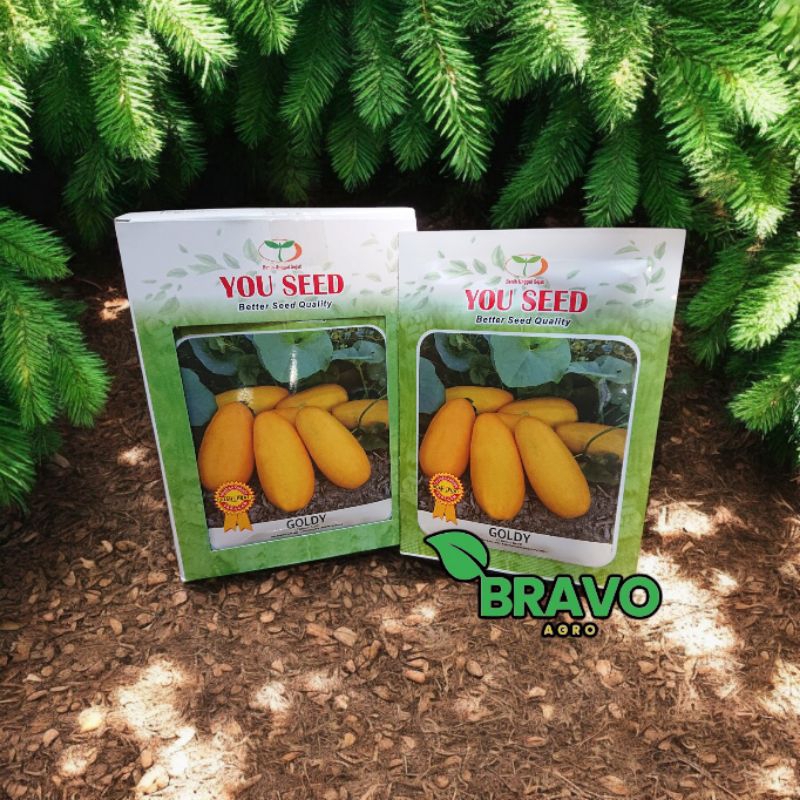 Jual benih timun suri kuning goldy kemasan 10 gram | Shopee Indonesia