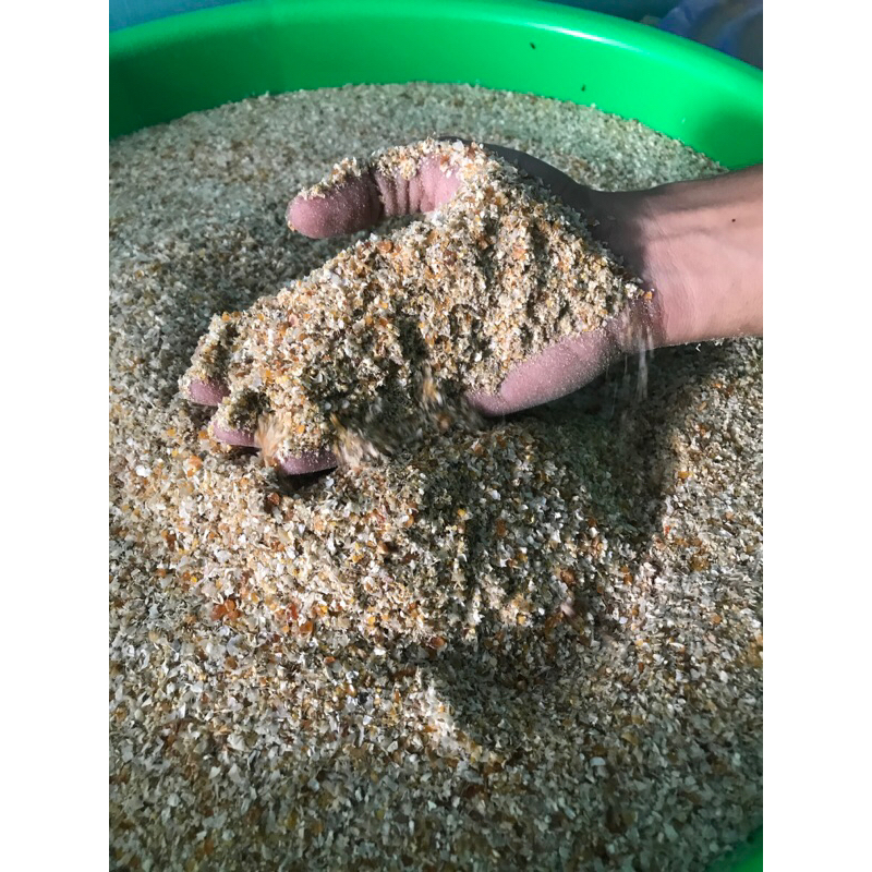 Jual Jagung Giling Kemasan 1kg/ Jagung Pakan Ternak/ Jagung Murah Ex ...