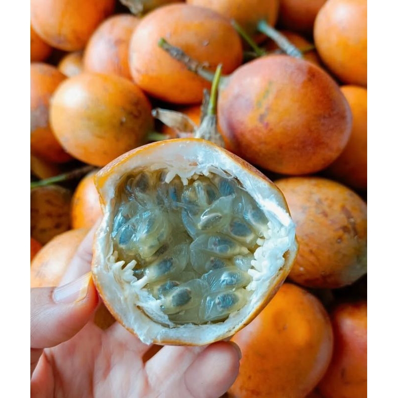 Jual BUAH MARKISA MEDAN 1 KG | Shopee Indonesia