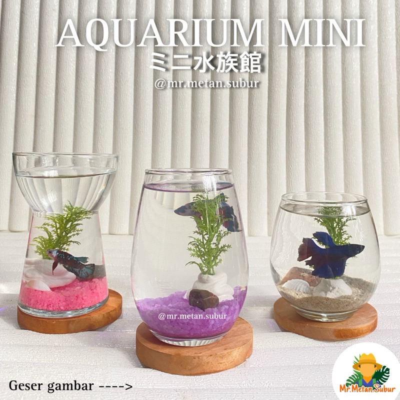 Jual BONUS IKAN AQUARIUM MINI LUCU ESTETIK COCOK DIPAJANG DI MEJA KAMAR ...