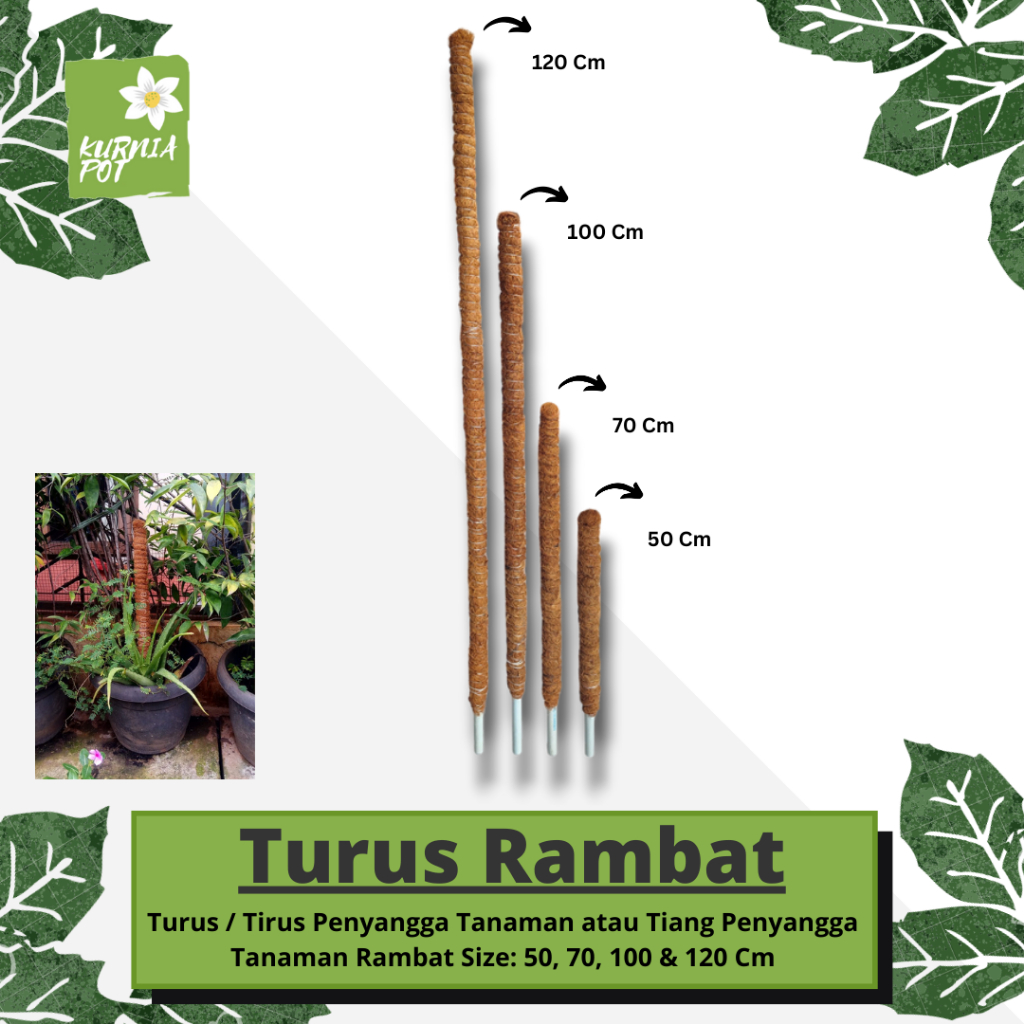 Jual Turus Rambatan Lilit Tiang Penyangga Tanaman Rambat 50 70 100 120 ...
