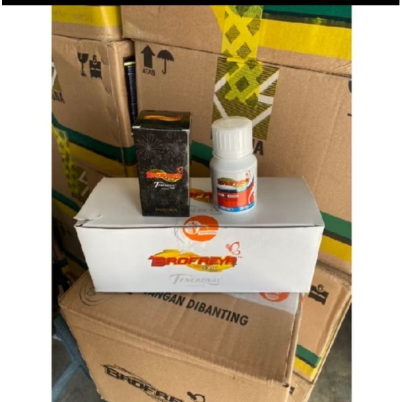 Jual BROFREYA 100 ml | Shopee Indonesia