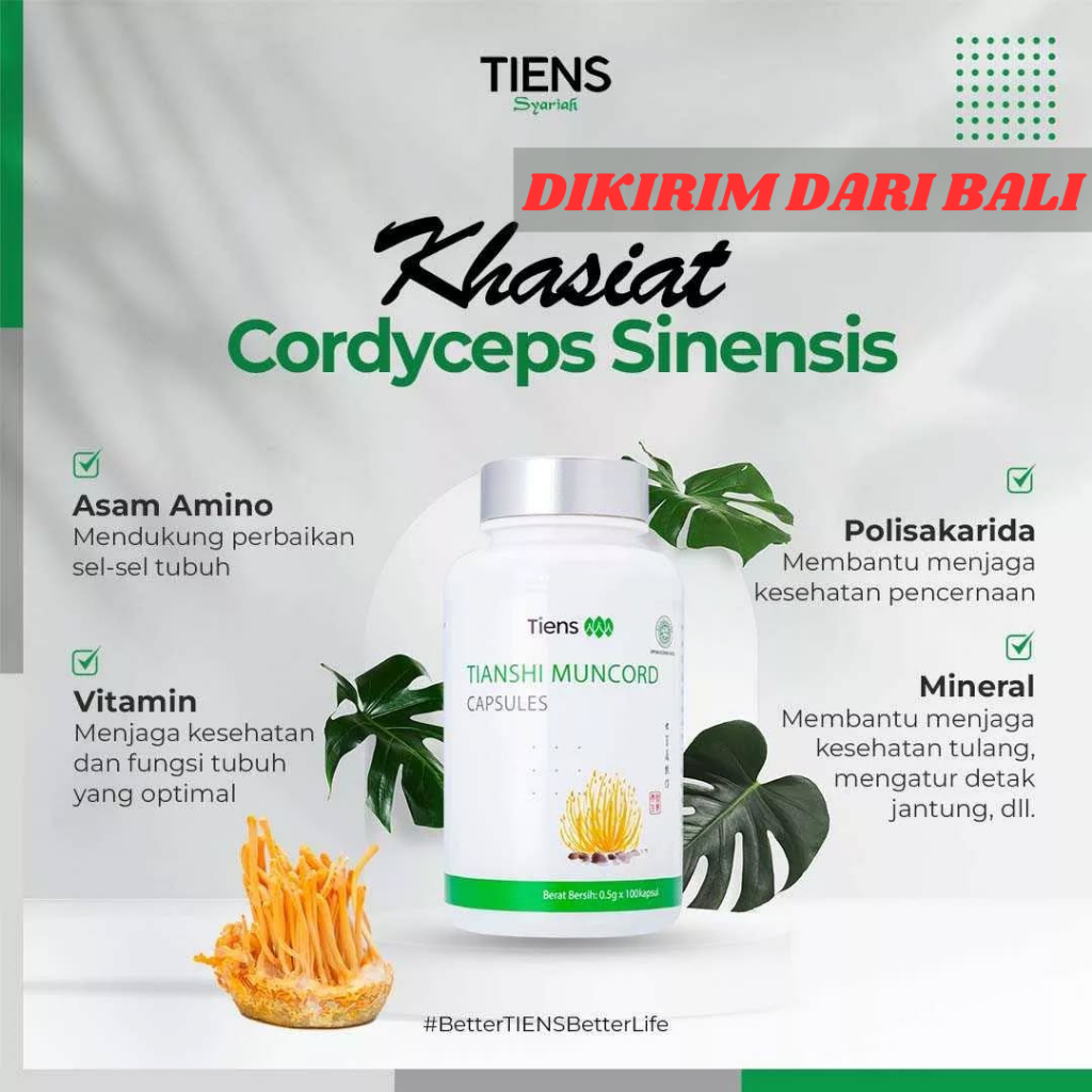 Jual Tiens Denpasar : Muncord Capsules Tiens isi 100 Kapsul | Cordyceps ...