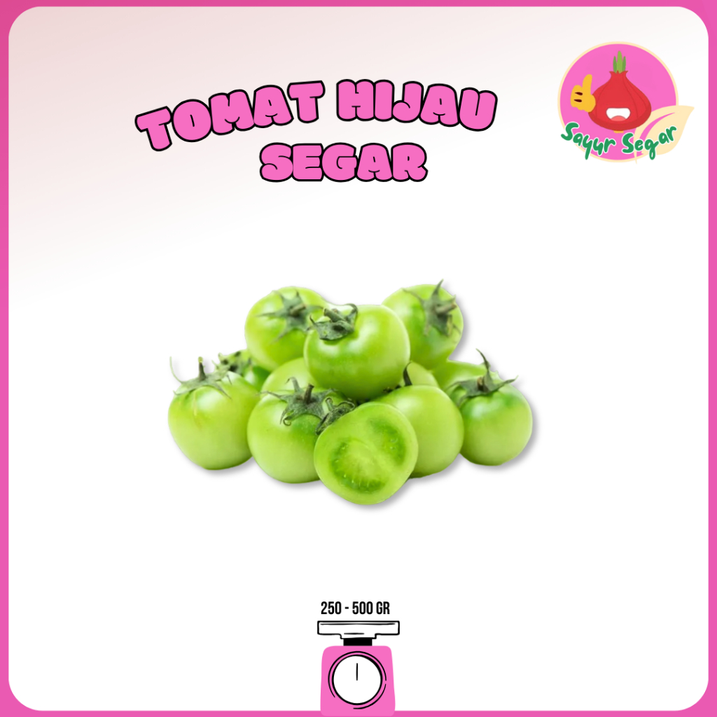 Jual Sayur Segar - Tomat Hijau / Green Tomato | Shopee Indonesia