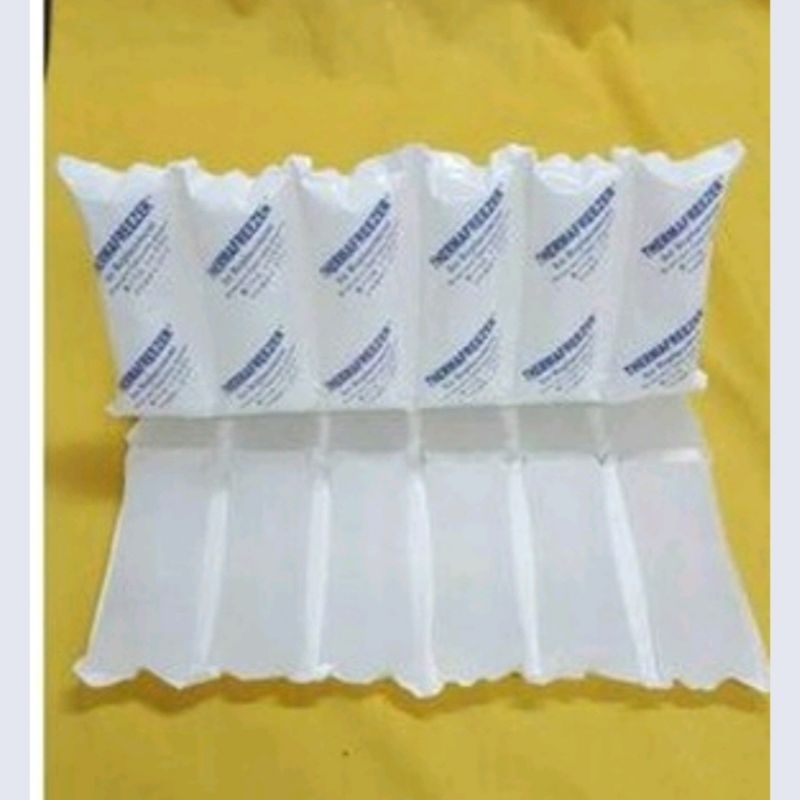 Jual DRY ICE GEL TAMBAHAN PACKINGAN 1 PCS | Shopee Indonesia