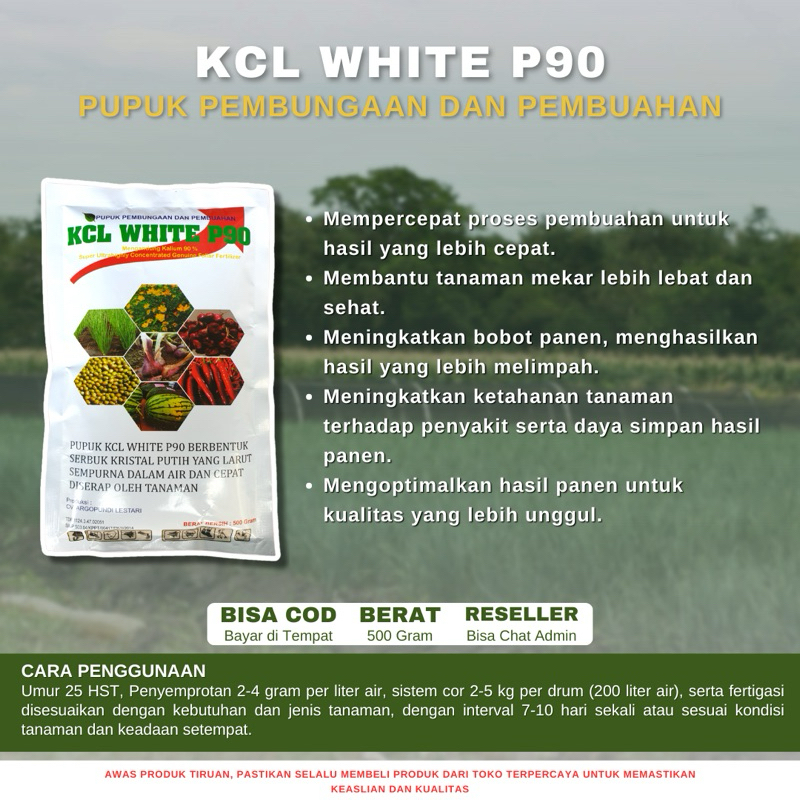 Jual KCL White Argopundi Lestari (Original) | Pembesar umbi dan buah ...