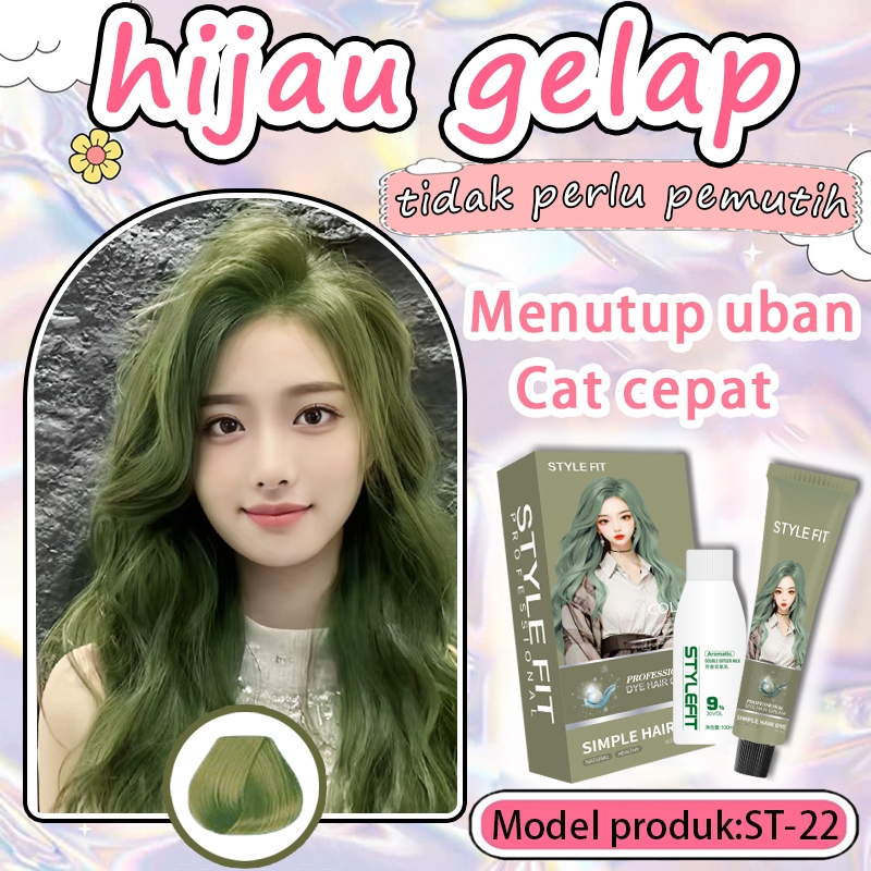Jual 【Pengiriman cepat】 STYLE FIT cat rambut Hijau olive *200ml bahan ...