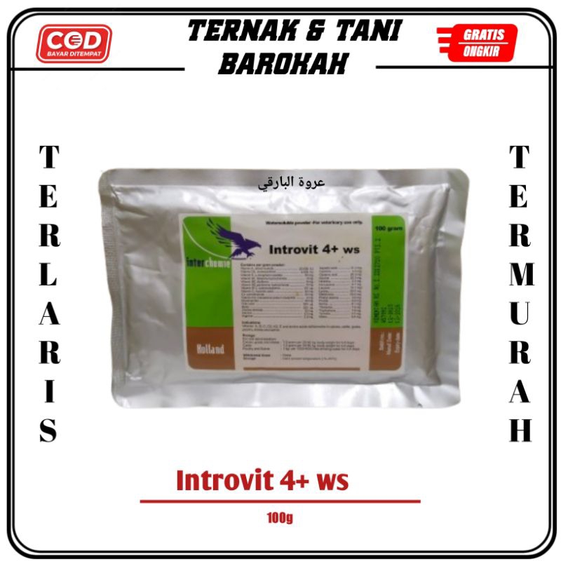 Jual introvit 4+ WS 100 gr | Shopee Indonesia
