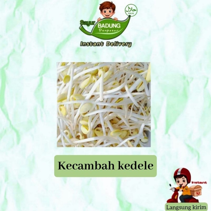 Jual Tauge KEDELE (Toge / Kecambah/ Cambah) | Shopee Indonesia