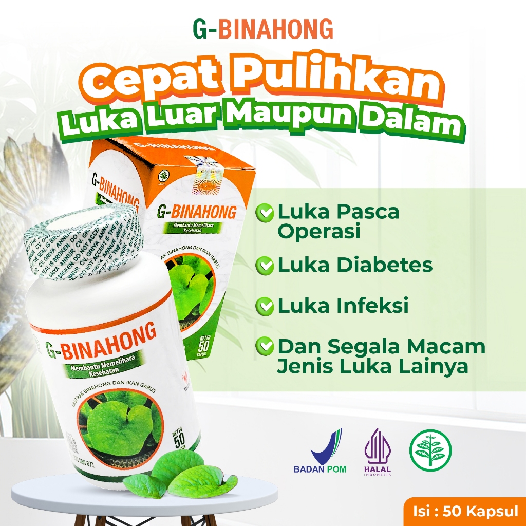 Jual Kapsul G-Binahong Ekstrak Ikan Gabus dan Daun Binahong Obat Pasca Operasi | Shopee Indonesia