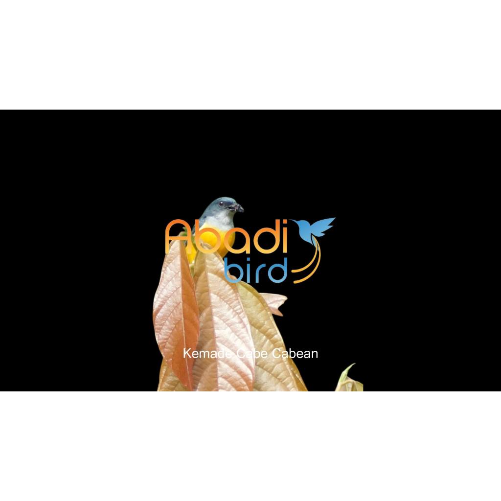 Jual Kemade Cabean Palmerah | Shopee Indonesia