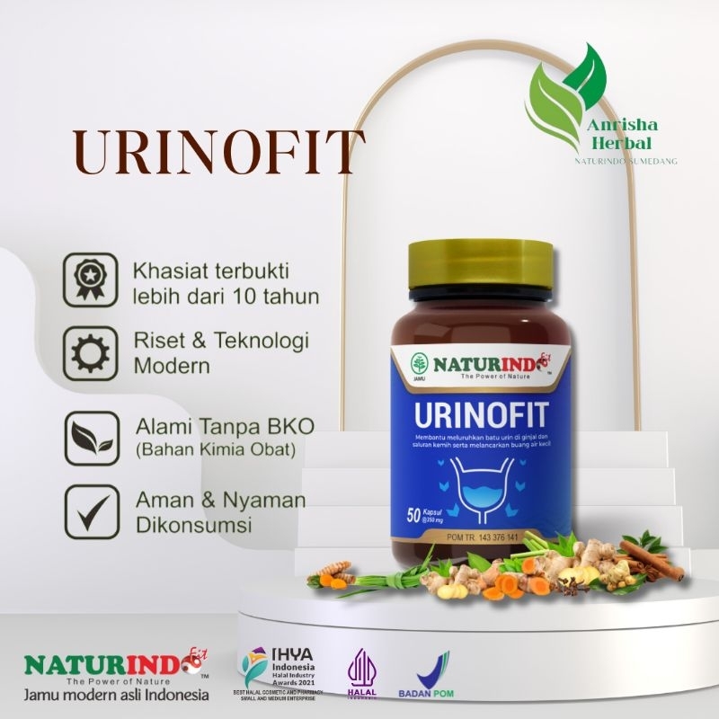 Jual Obat Infeksi Saluran Kemih Sering Buang Air Kecil Anyang Anyangan Herbal URINOFIT Naturindo ...