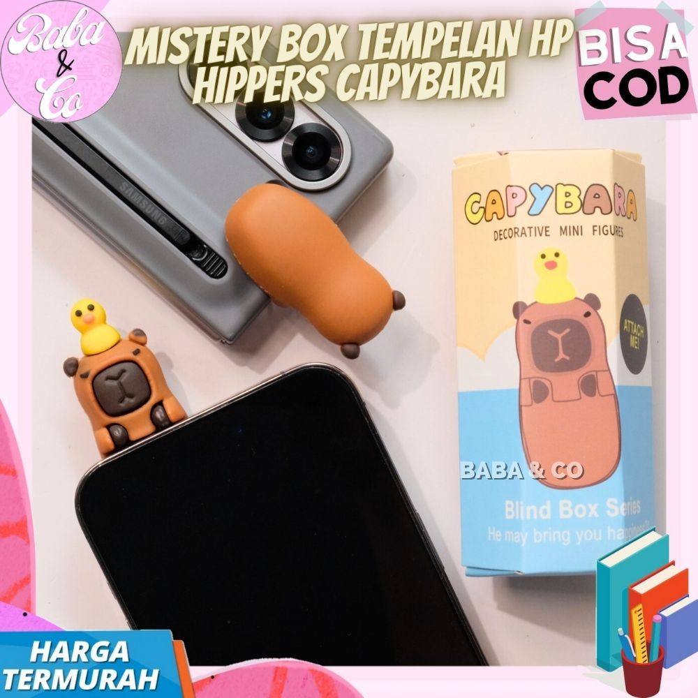 Jual MISTERI BOX HIPPERS CAPYBARA LUCU UNIK MYSTERY BOX TEMPELAN ...