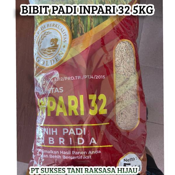 Jual Benih Padi Sawah Unggul Inpari 32 5kg | Shopee Indonesia
