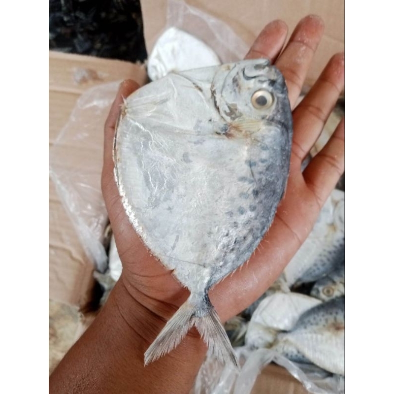 Jual Ikan Asin Etem Ikan Asin Etem Semar 250 Gram 500 Gram 1 Kg ...
