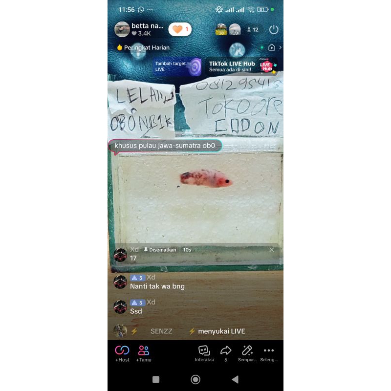 Jual box xd 1ebaby giant | Shopee Indonesia